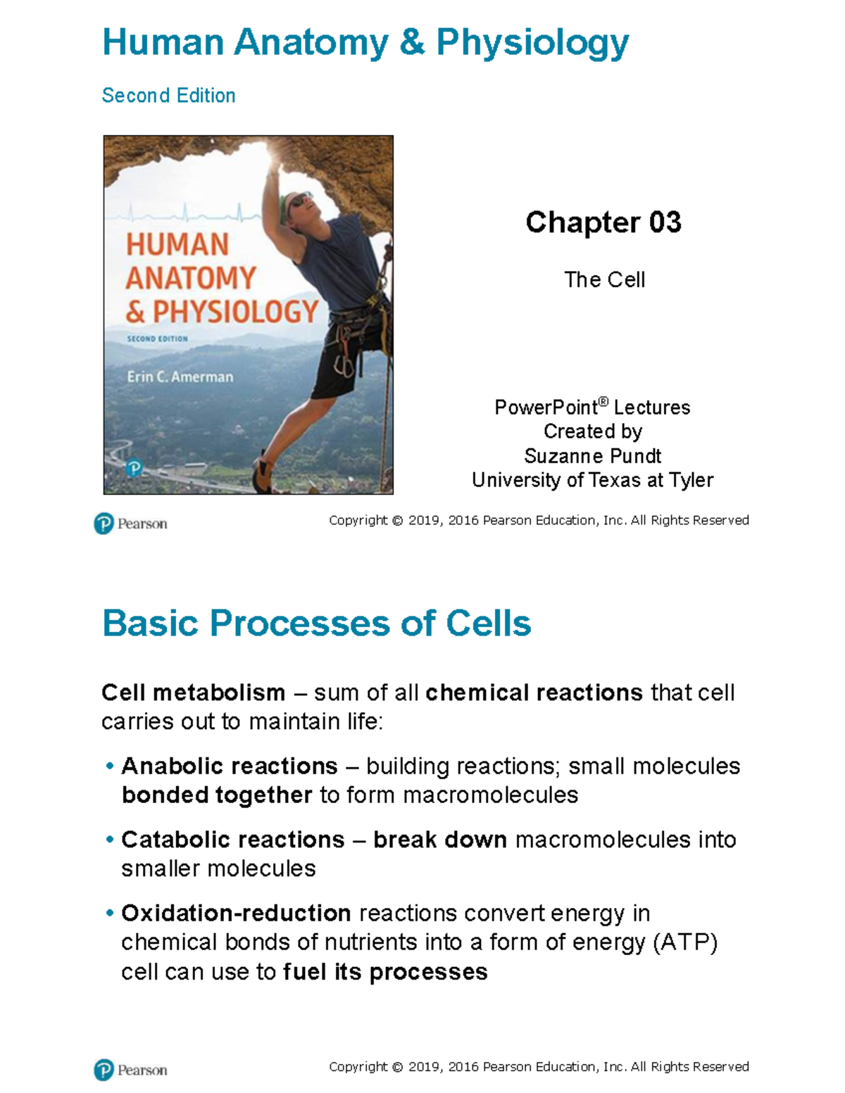 Human Anatomy & Physiology - CH 03: The Cell Overview & Functions - Studocu