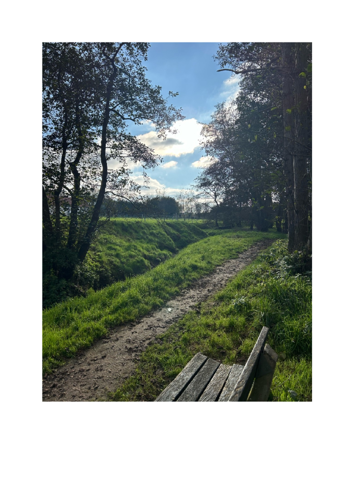 Afbeeldingen luwte plekken - WELKOM IN HET TANGEBEEKBOS Populierendal ...