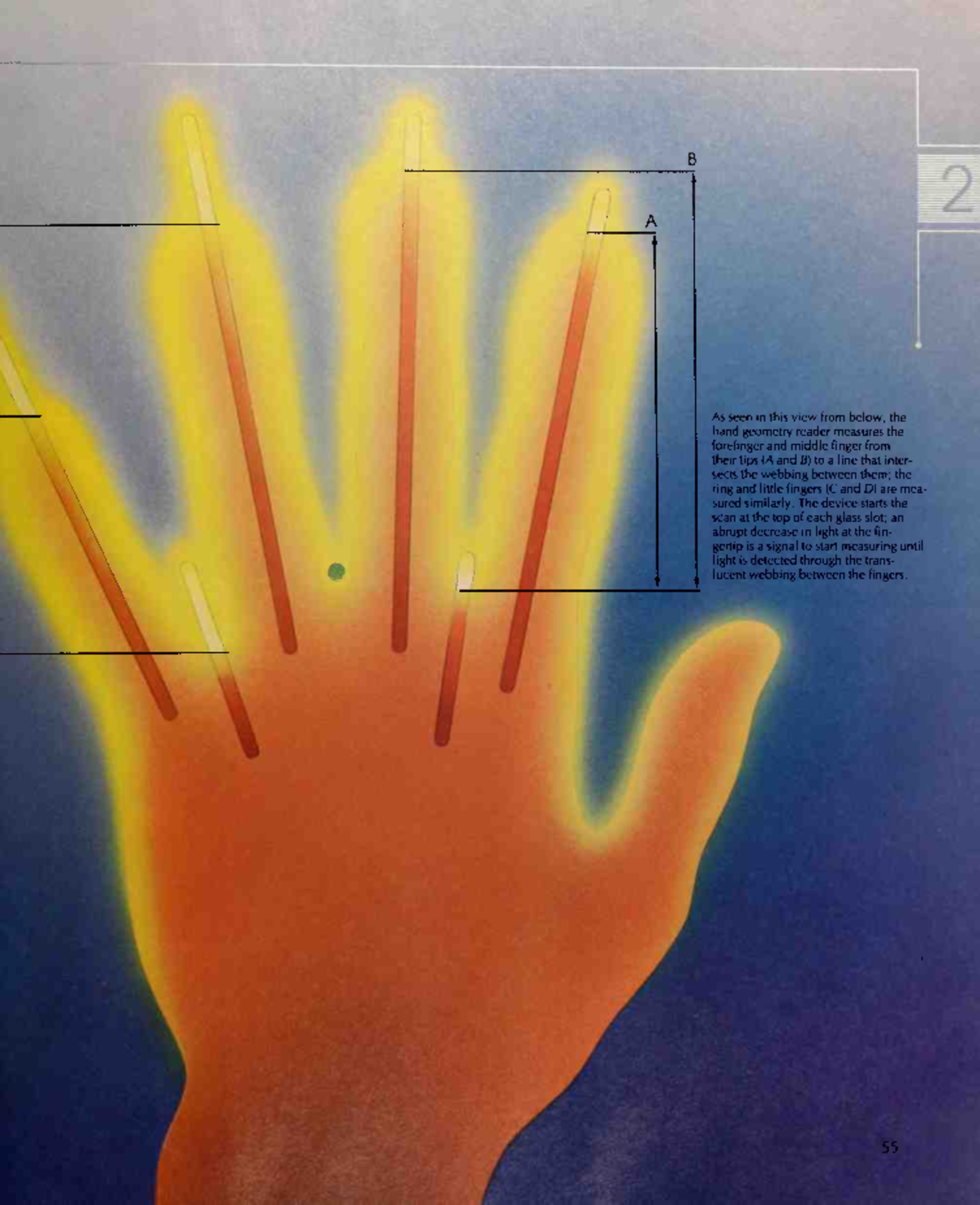 Computer Security 17: Exploring Fingerprint Verification Techniques - Studocu