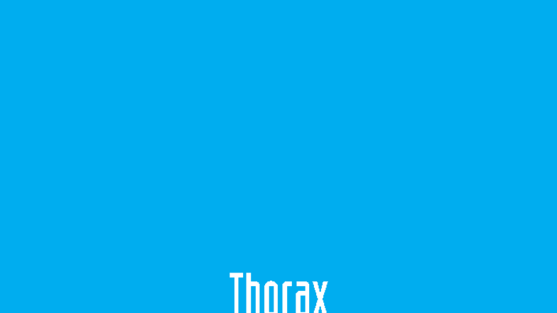 Fiche Thorax 687 : Scanner sans Injection pour Maladies Pulmonaires ...