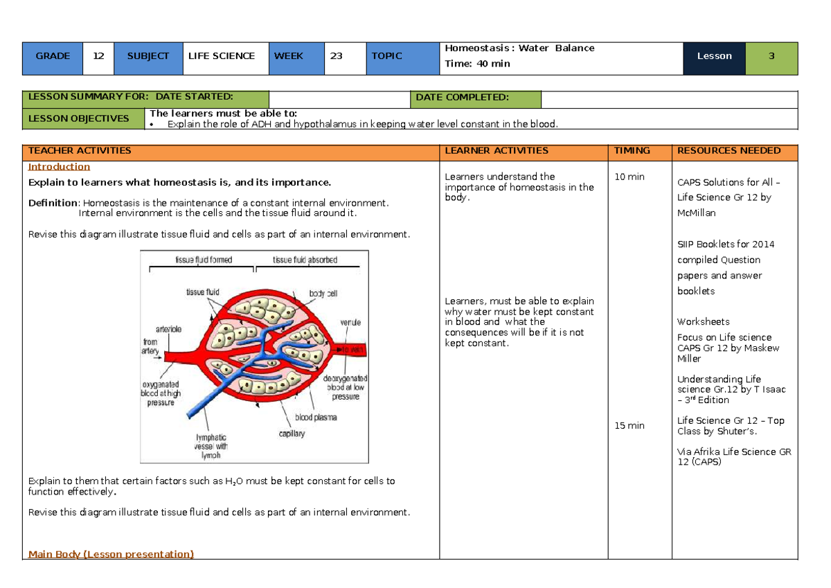 Grade 12 Life Science: Homeostasis & Water Balance Lesson 3 Summary ...