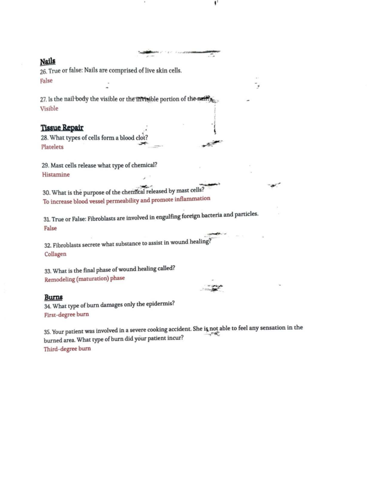 Module 7 Problem Set Answers: Skin, Tissue Repair & Burns - Studocu