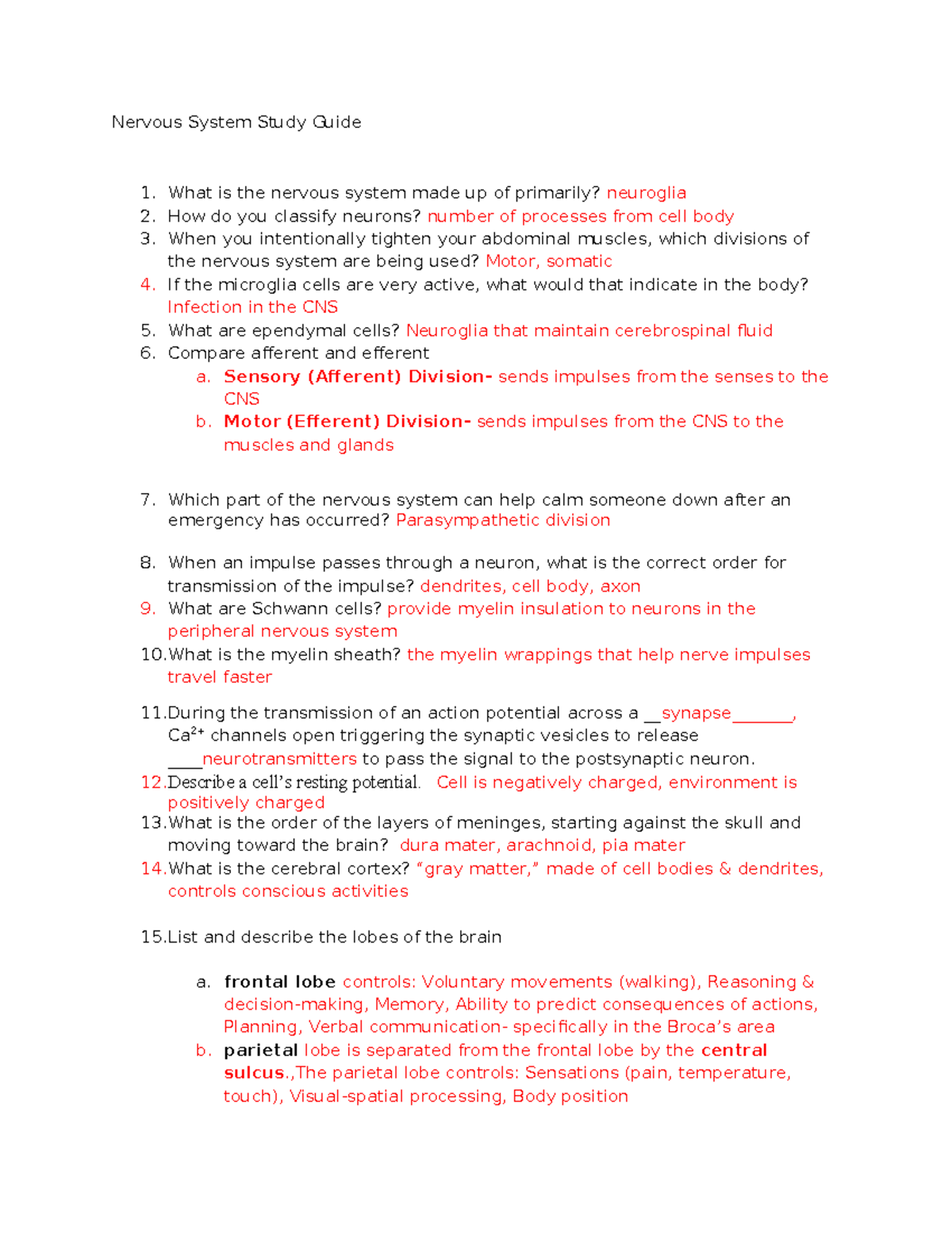 Nervous System Study Guide: Key Concepts and Functions - Nervous System ...