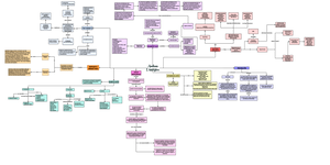 Genoma Nuclear Y Mitocon Drial - Genom a Nuclear Mit ocond r ial Ub ...