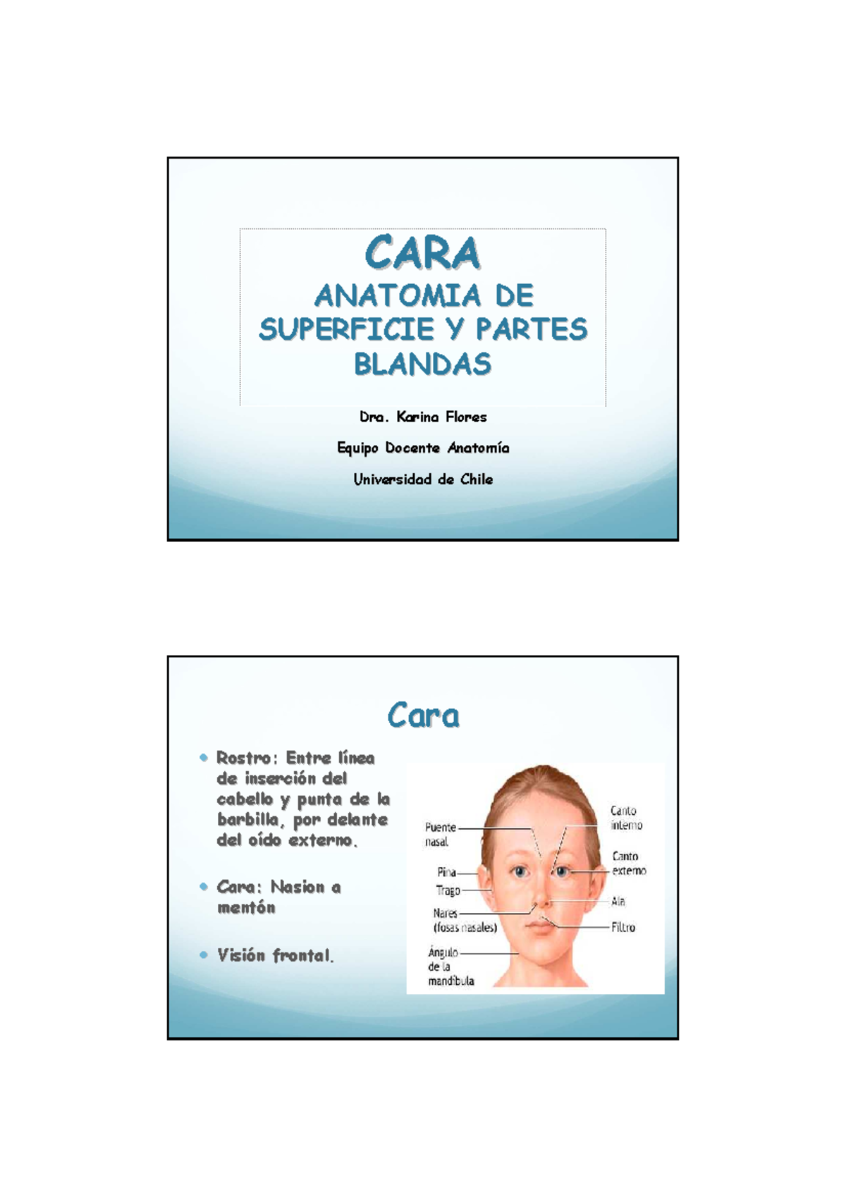CARA ANATOMÍA DE SUPERFICIE Y PARTES BLANDAS - PPT UCH - Studocu