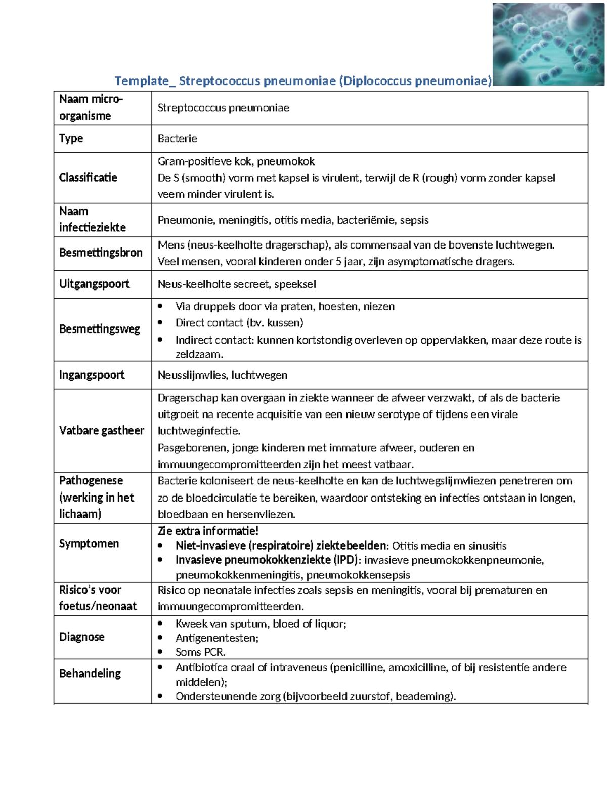 Template: Streptococcus pneumoniae - Infecties en Behandeling - Studocu