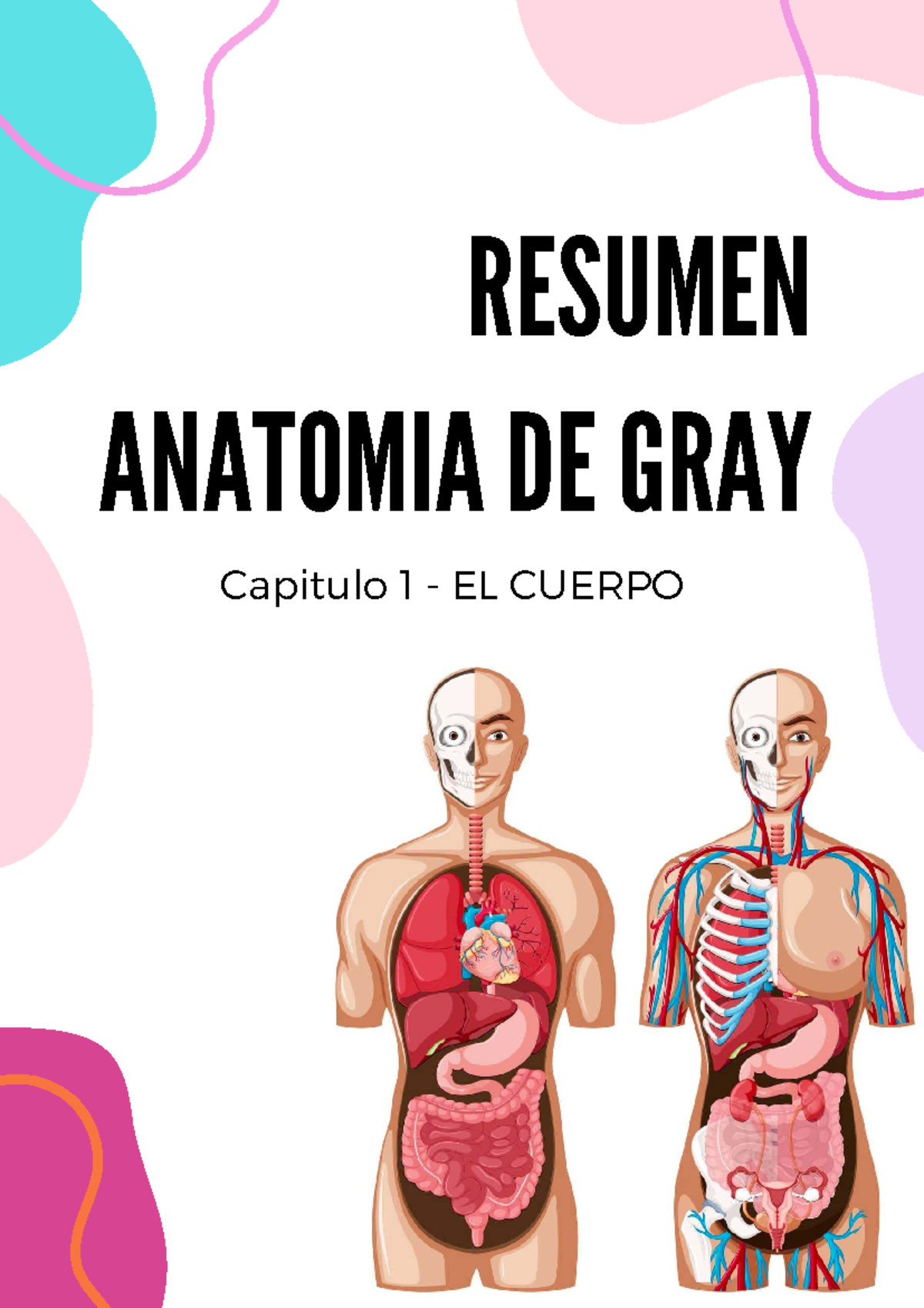 Capítulo 01 Anatomía de Gray: El Cuerpo Humano y su Estudio - Studocu