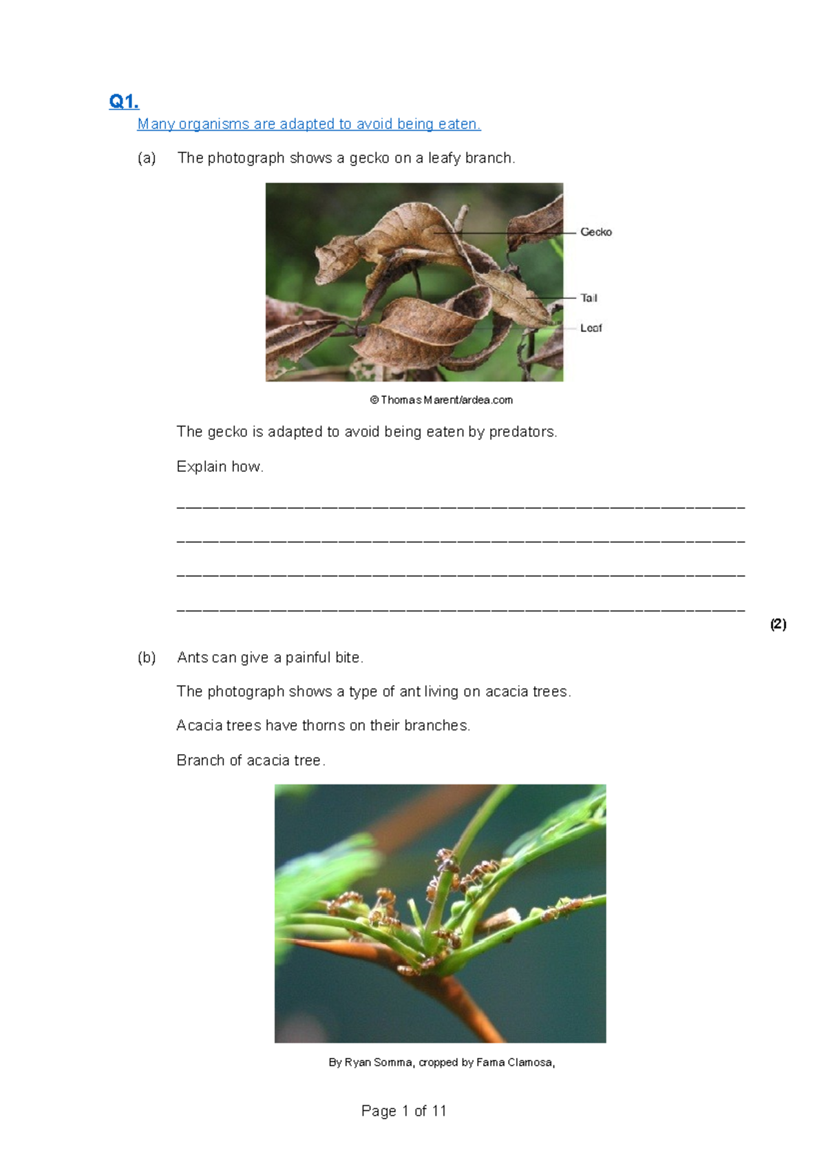 Adaptation questions with links (questions) - Q1. Many organisms are ...
