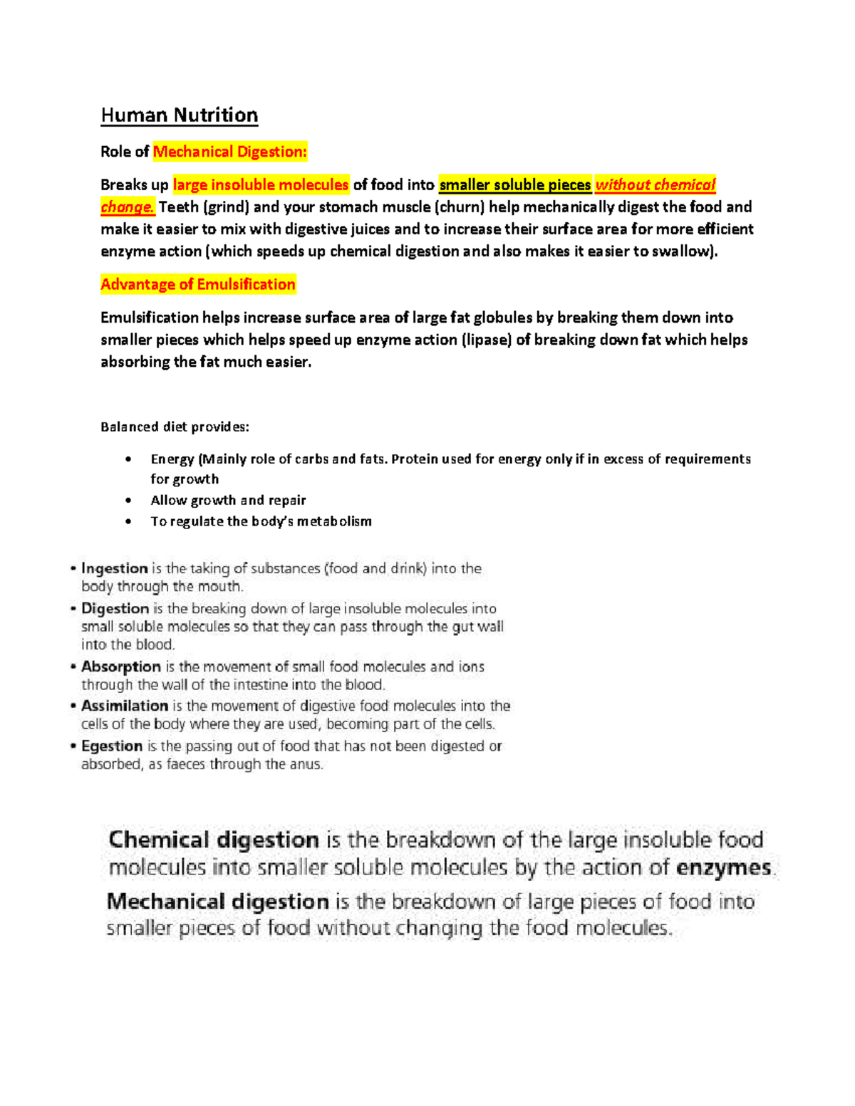 IGCSE Biology: Mechanical Digestion and Nutrient Absorption Overview ...
