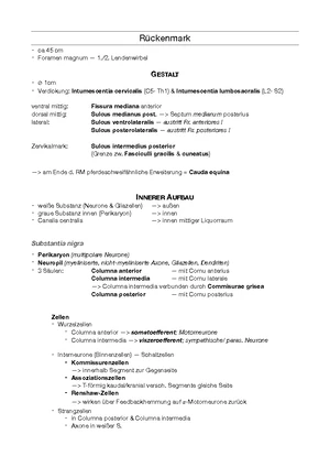 Unteres Extremitäten Anatomie Zusammenfassung - Becken & Hüfte - Studocu