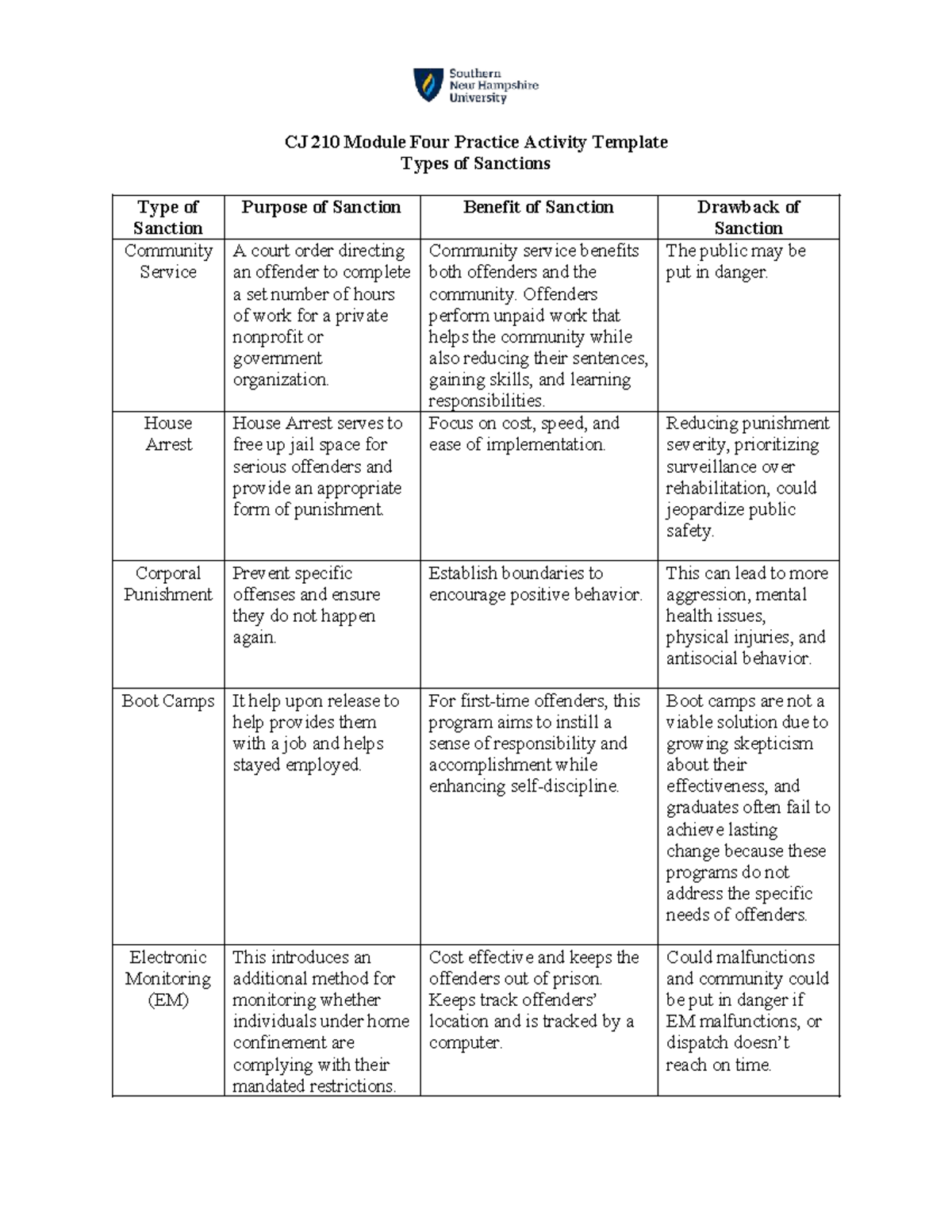 CJ 210 Module Four Practice Activity Template - Community service ...