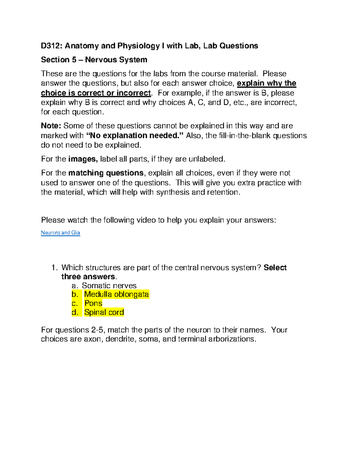 9:8:24 D312 Nervous System Lab Questions and Explanations - Studocu