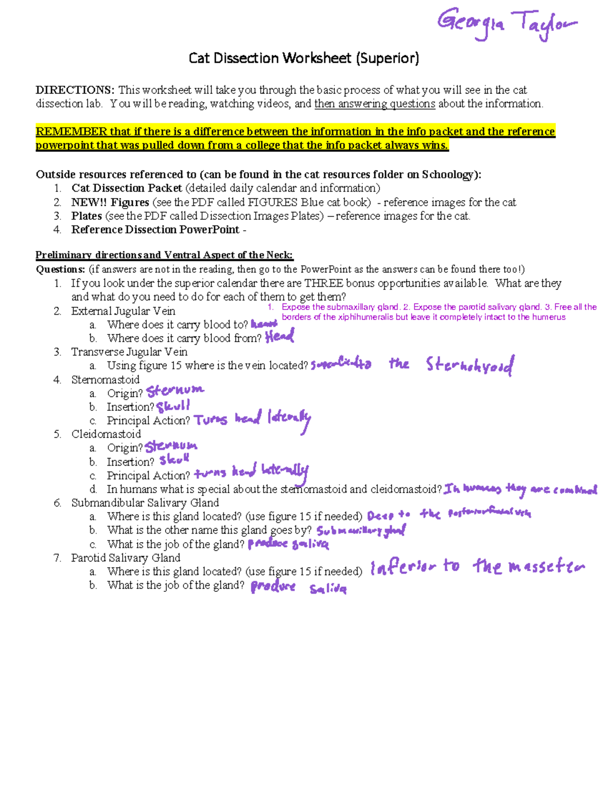 Superior Cat Dissection Lab Worksheet: Key Structures & Functions - Studocu