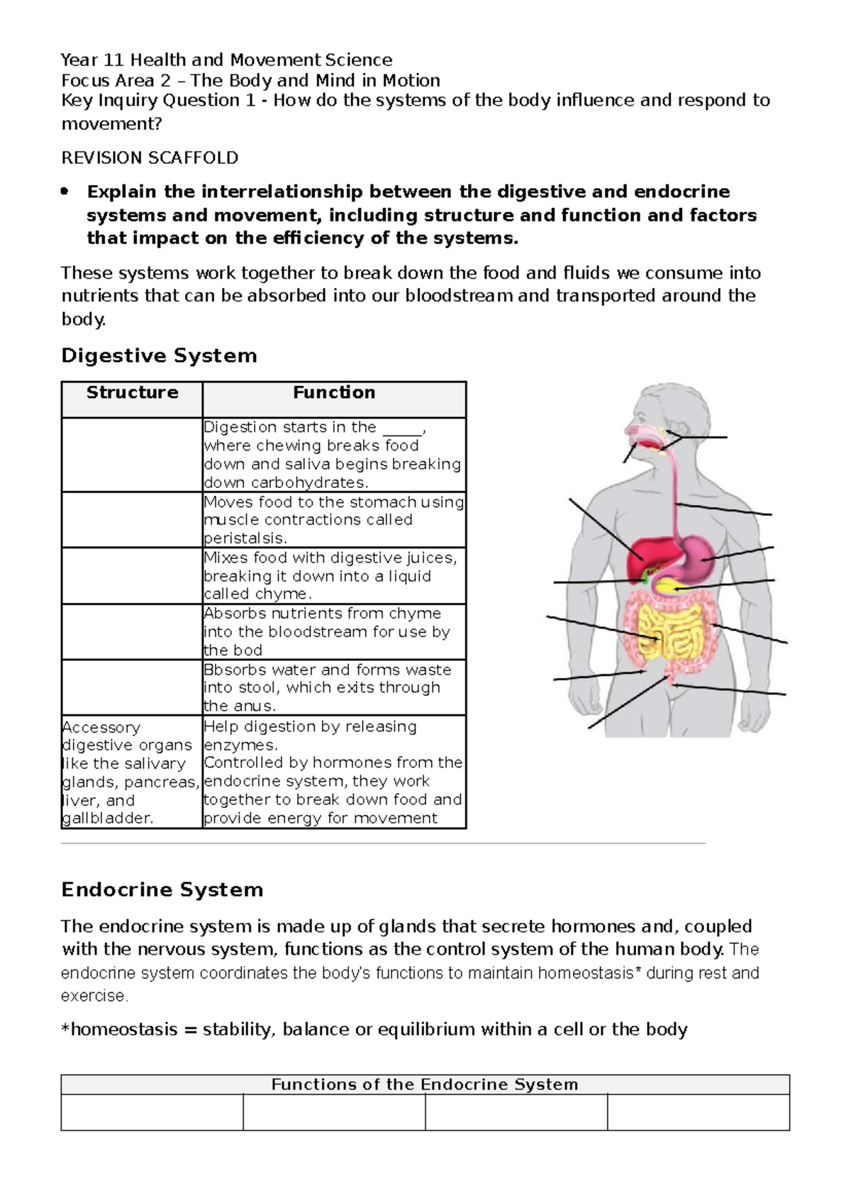 FA2 KIQ1 Digestive & Endocrine Systems Revision Notes - Studocu