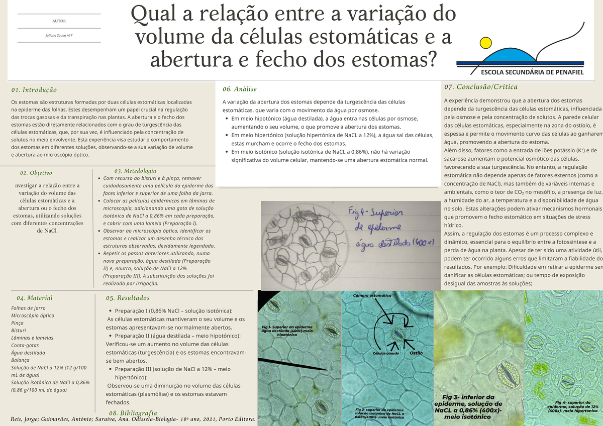 Relatório Prático: Variação do Volume das Células Estomáticas e ...