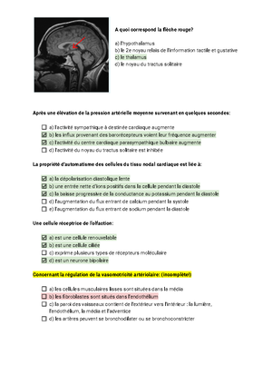 CPA - Cours Immuno - Les Cellules Présentatrices d’Antigène (CPA ...