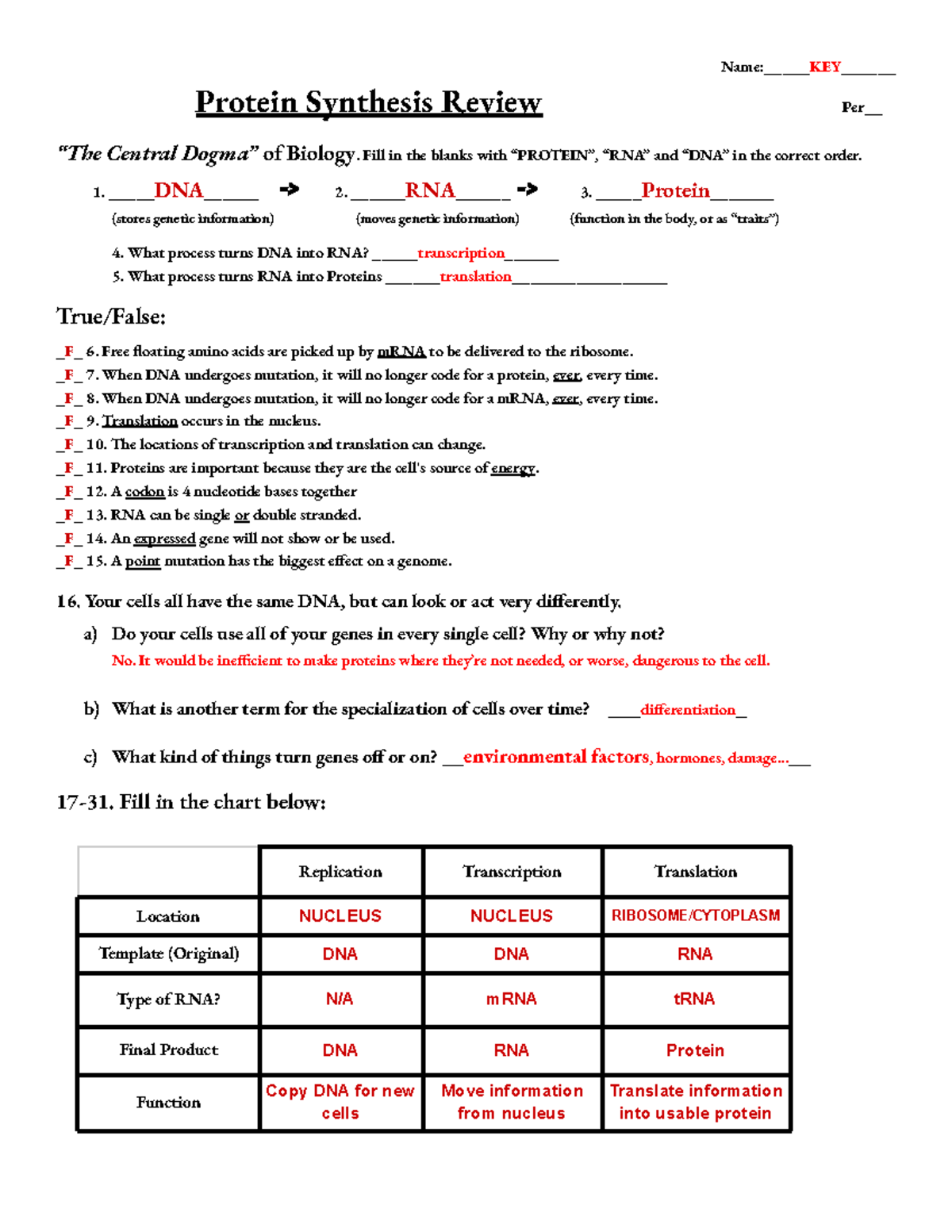 Protein Synthesis Review Answer Key (Biology 02 07) - Studocu