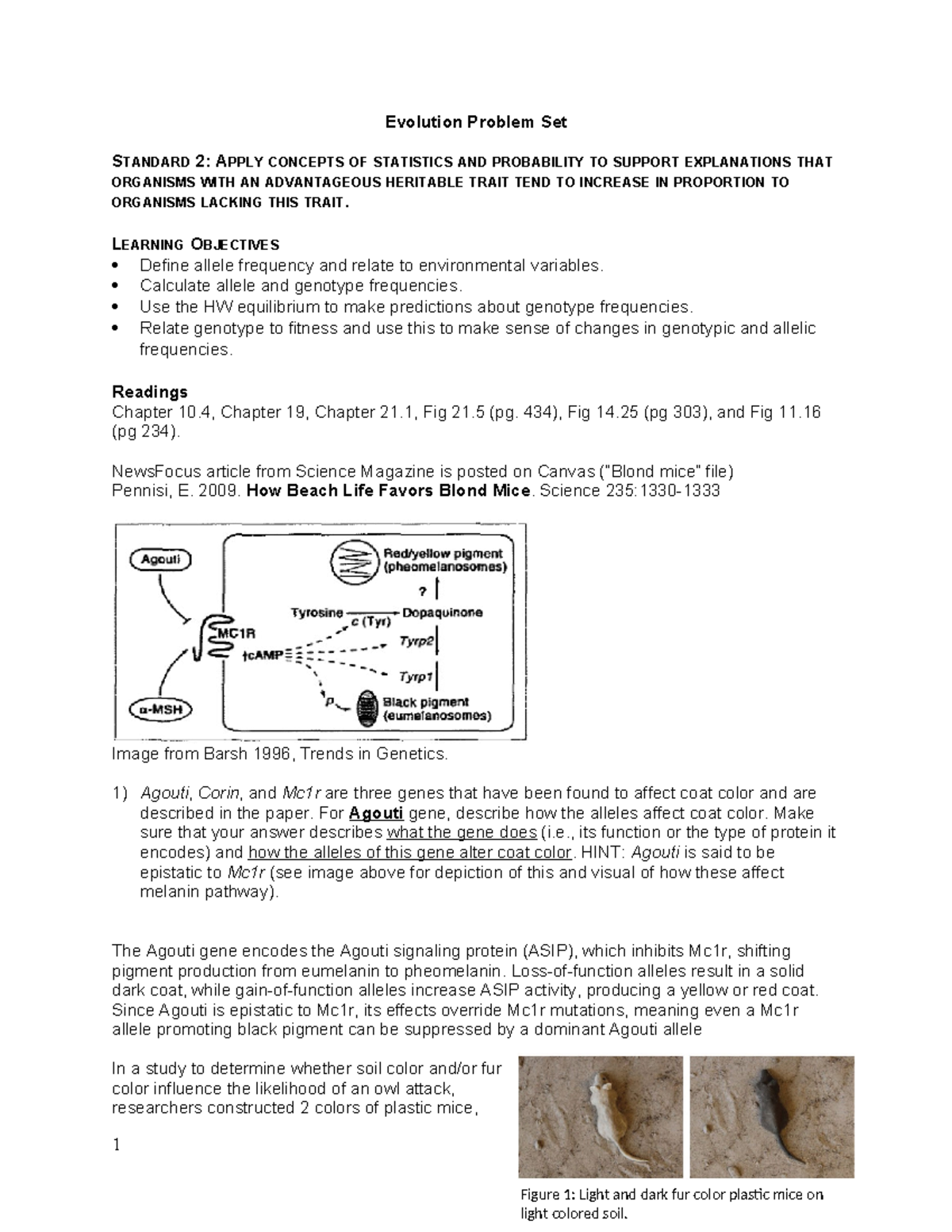 Evolution Problem Set: Allele Frequencies & Natural Selection in Mice ...