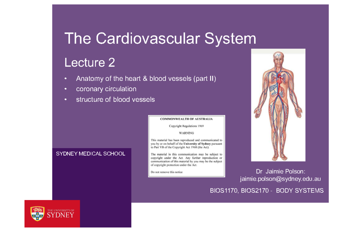 BIOS1170 Lecture 2: The Cardiovascular System - Studocu