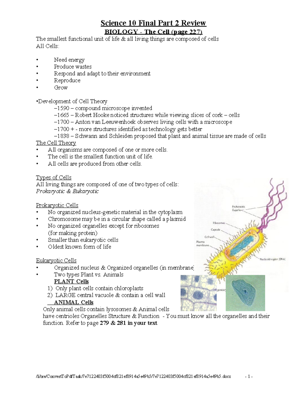 Science 10 BIOLOGY Final Exam Review: The Cell & Microscopy - Studocu