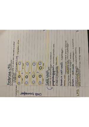 Study Guide: Eukaryotic Cells, Microorganisms, and Viruses Overview - Study Guide: A Survey of ...