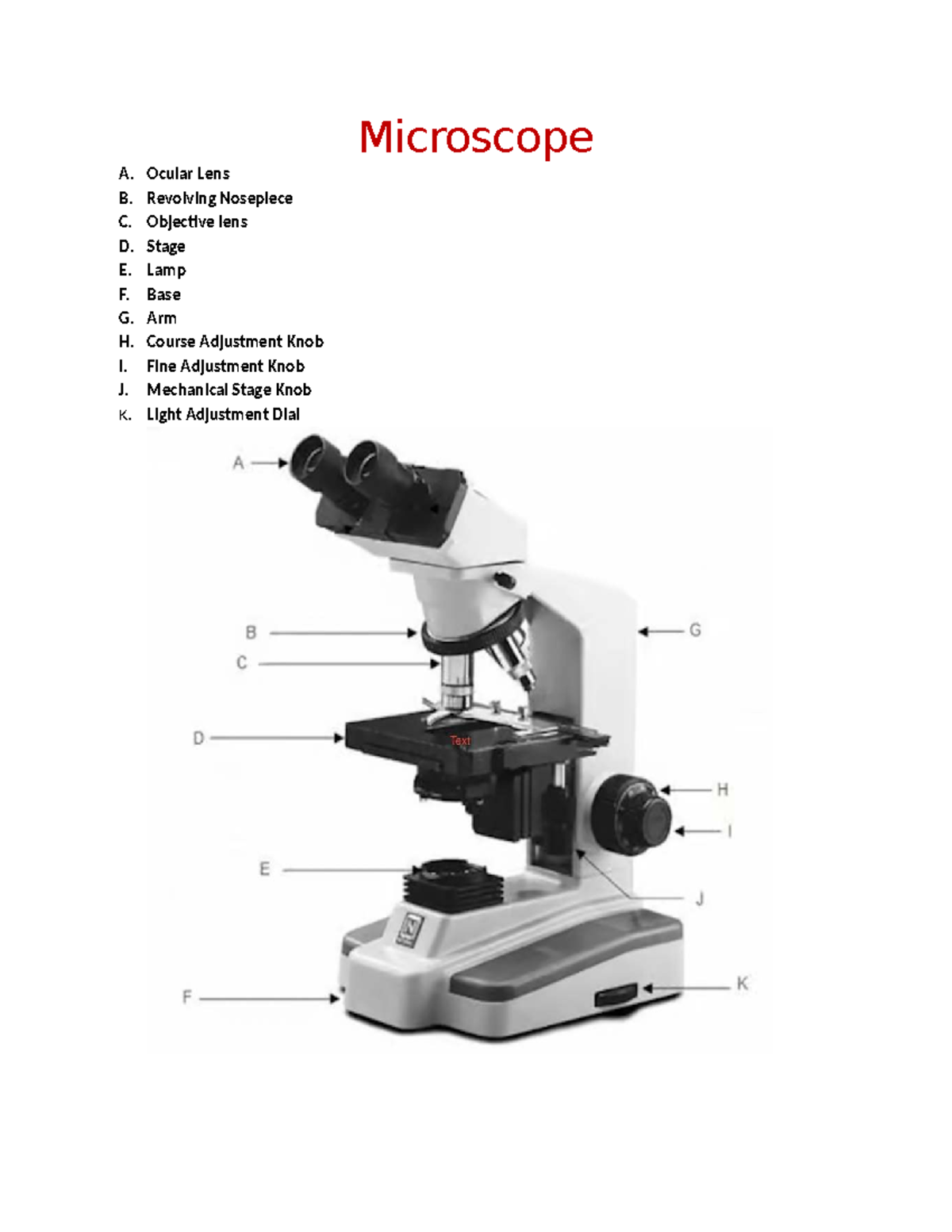 Microscope - Assignment - Applied Sciences - Microscope A. Ocular Lens ...