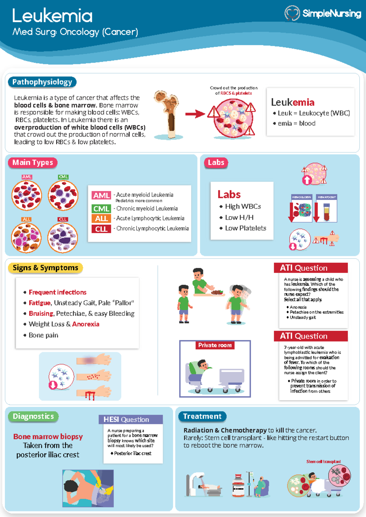 Leukemia Med Surg: Oncology Pathophysiology & Treatment Insights - Studocu