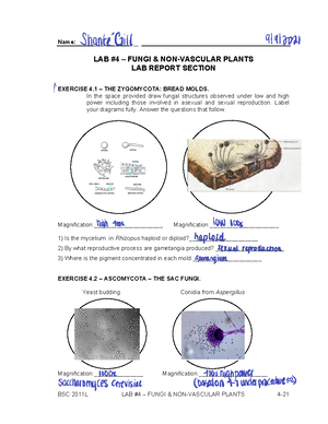 Lab 04 Fungi & Non-Vasc Plants 2 - LAB# 4 - FUNGI & NON-VASCULAR PLANTS ...