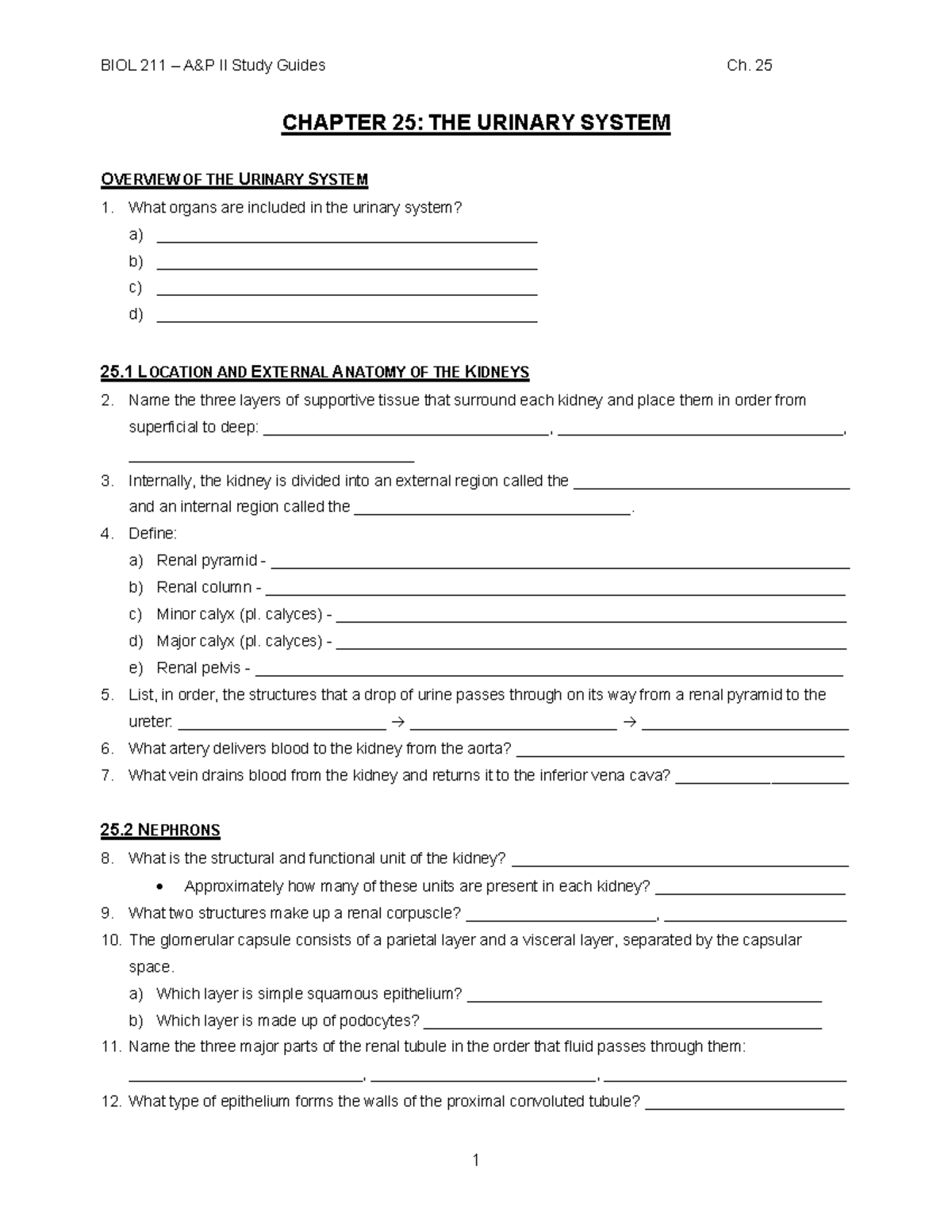 BIOL 211 II Study Guide: Chapter 25 - The Urinary System Overview - Studocu