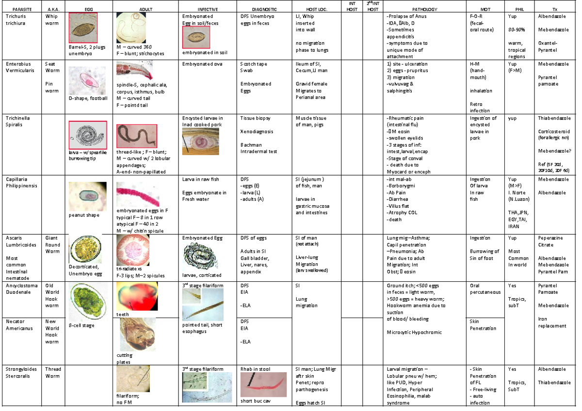 Parasitology Study Guide: Key Concepts and Diagnostic Tables - Studocu