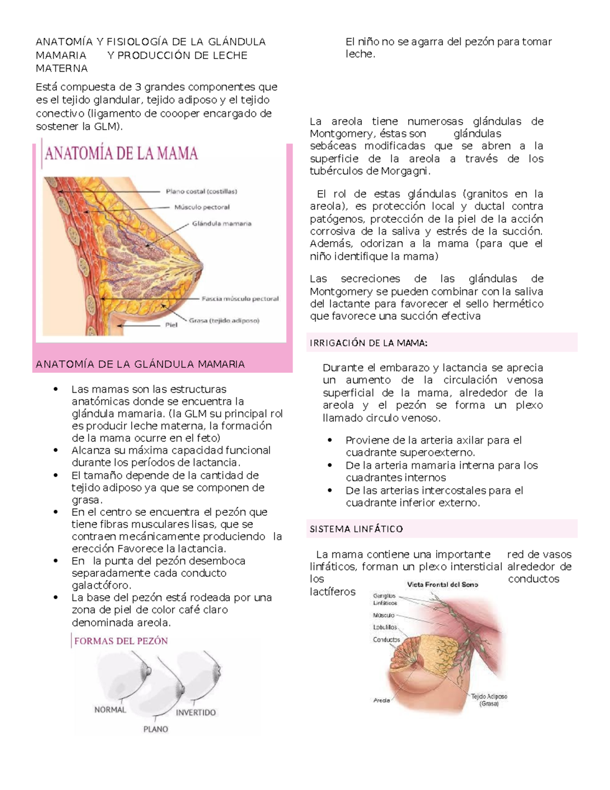 Anatomía y Fisiología de la GLM: Producción de Leche Materna - Studocu