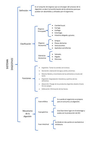 Escobar Aline Tumores Gastrointestinales Infografía - TUMORES ...