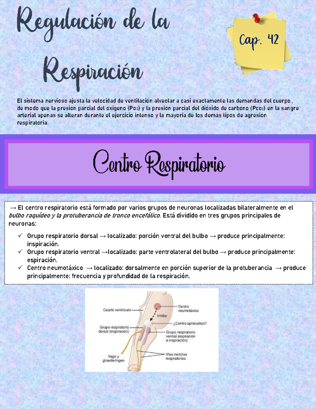 Capitulo 42 - Resumen del LIBRO FISIOLOGÍA DE GUYTON - Warning: TT: undefined function: 32 - Studocu