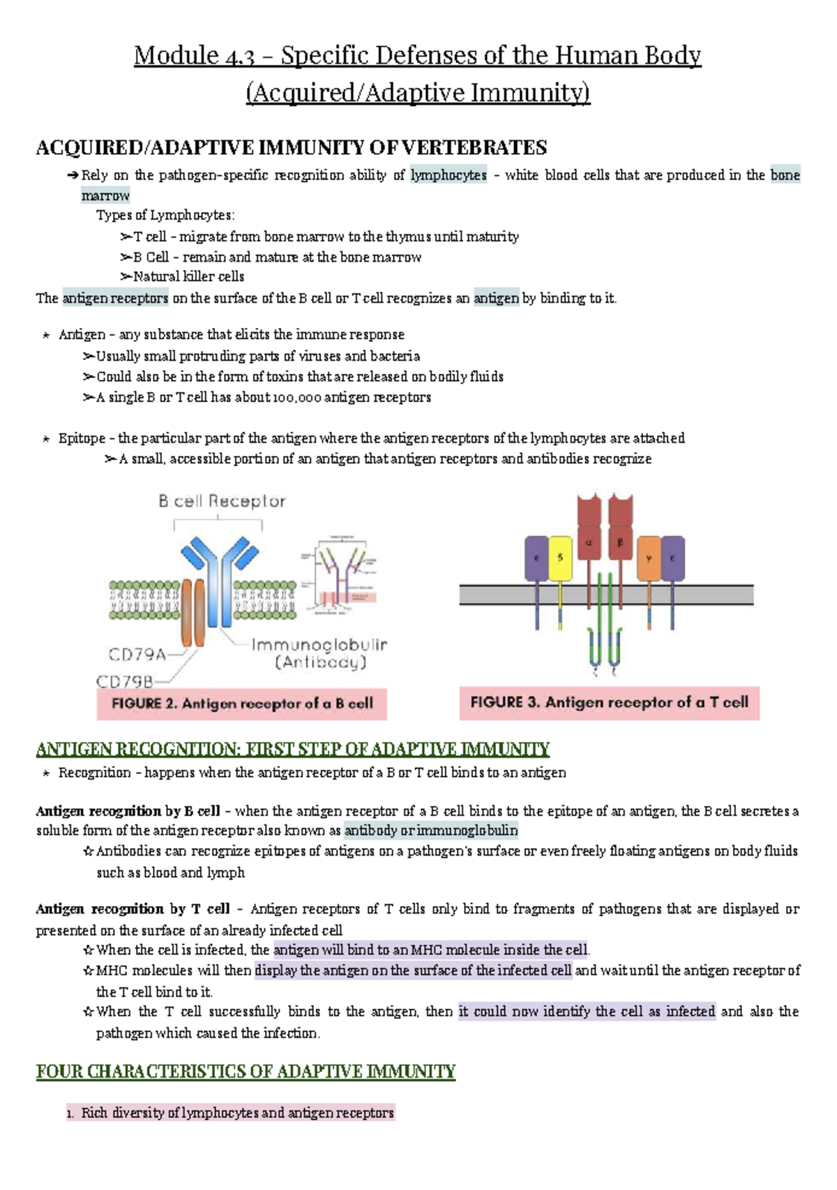 Bio 4: Module 4.3 - Specific Defenses and Immunity Mechanisms - Studocu