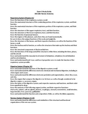 Circulatory System gizmo worksheet - Student Exploration: Circulatory ...