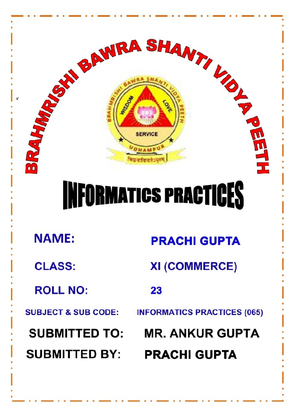 CS101 Programming Concepts: Series, DataFrames, and Graphs Guide - Studocu