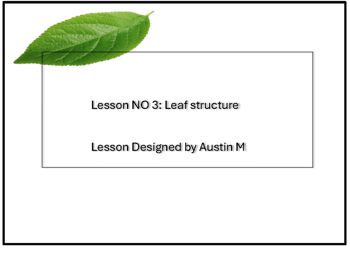 Lesson 3: Leaf Structure and Function in Plant Biology - Studocu