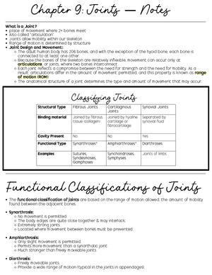 [Solved] Which layer of connective tissue sits directly on the kidney ...