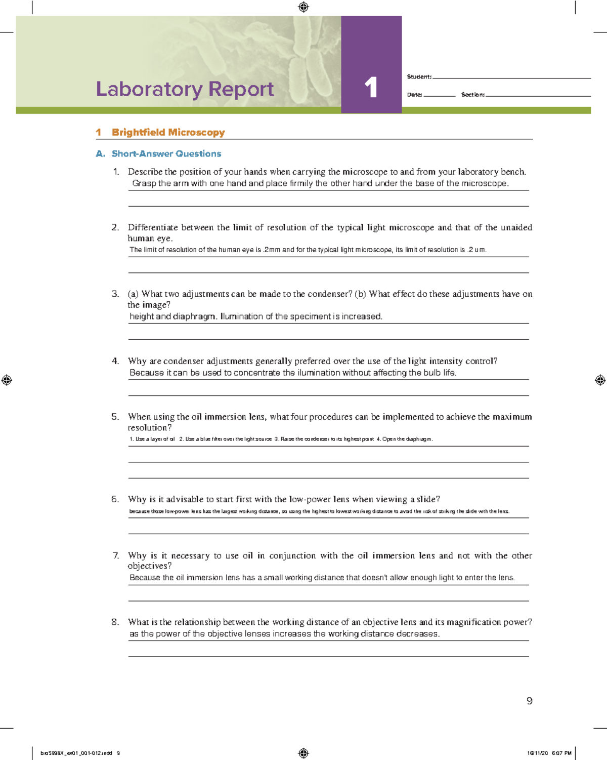 Lab Report: Exercise 01 on Brightfield Microscopy (BIO101) - Studocu