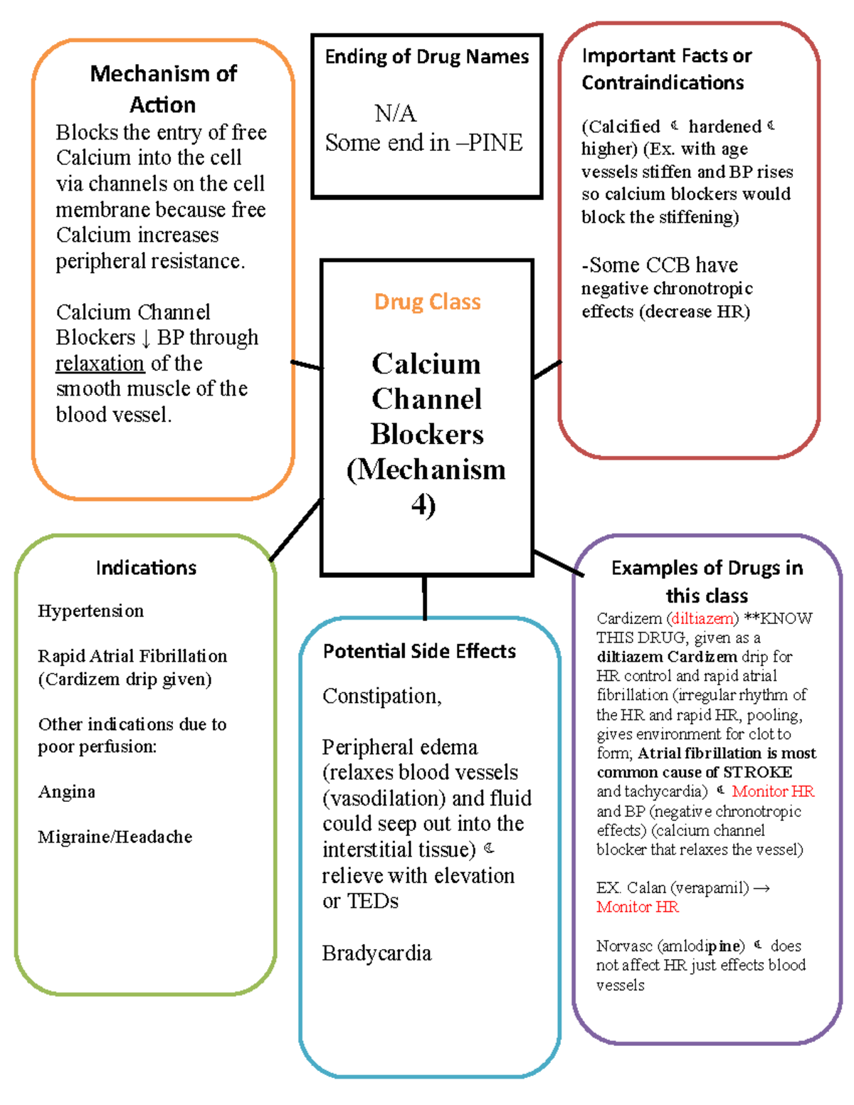 Calcium Channel Blockers: Key Concepts and Mechanisms of Action - Studocu