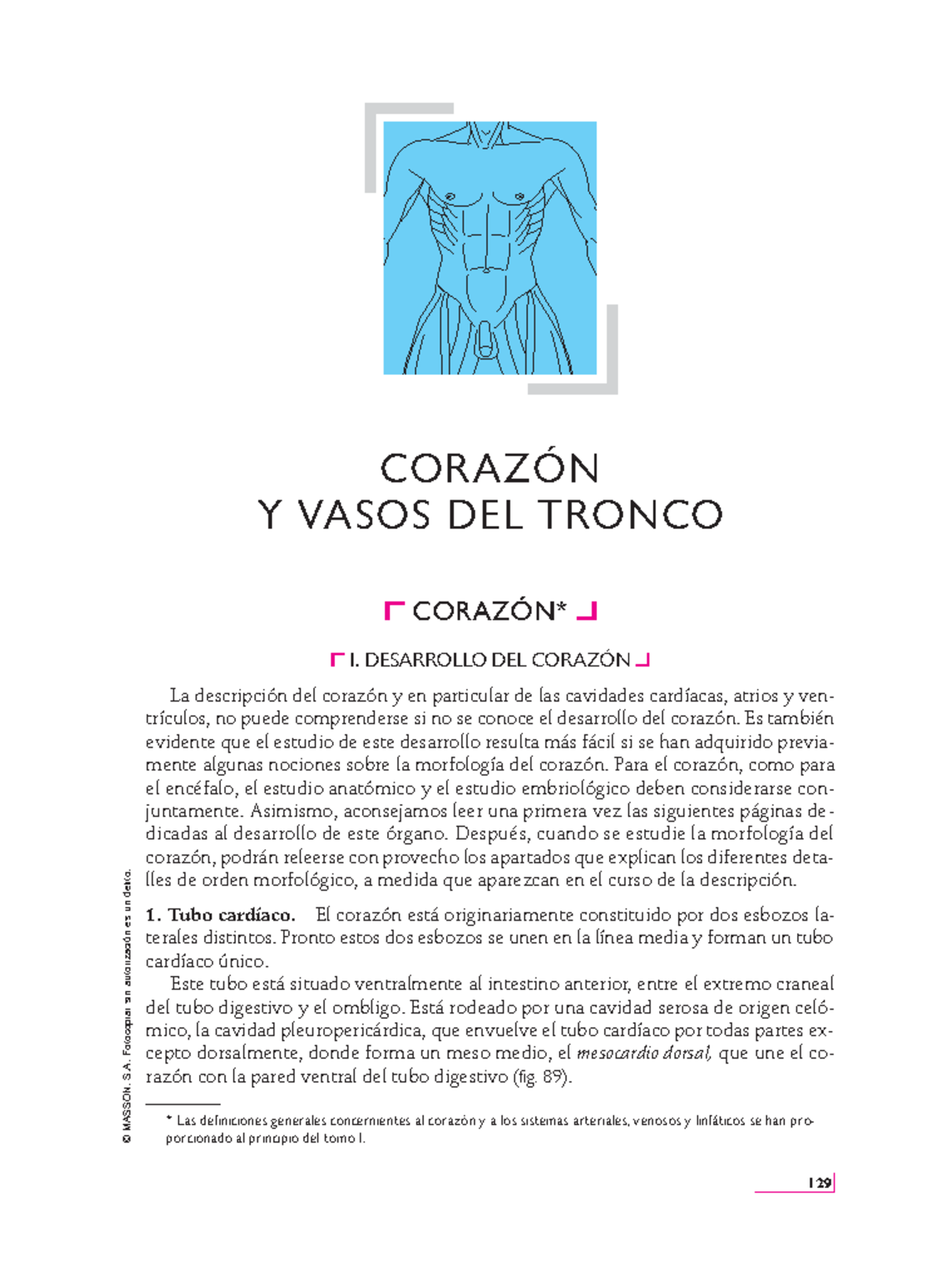 Anatomia Rouviere Tomo 2 split-range Corazon Y Mediastino - CORAZÓN Y ...