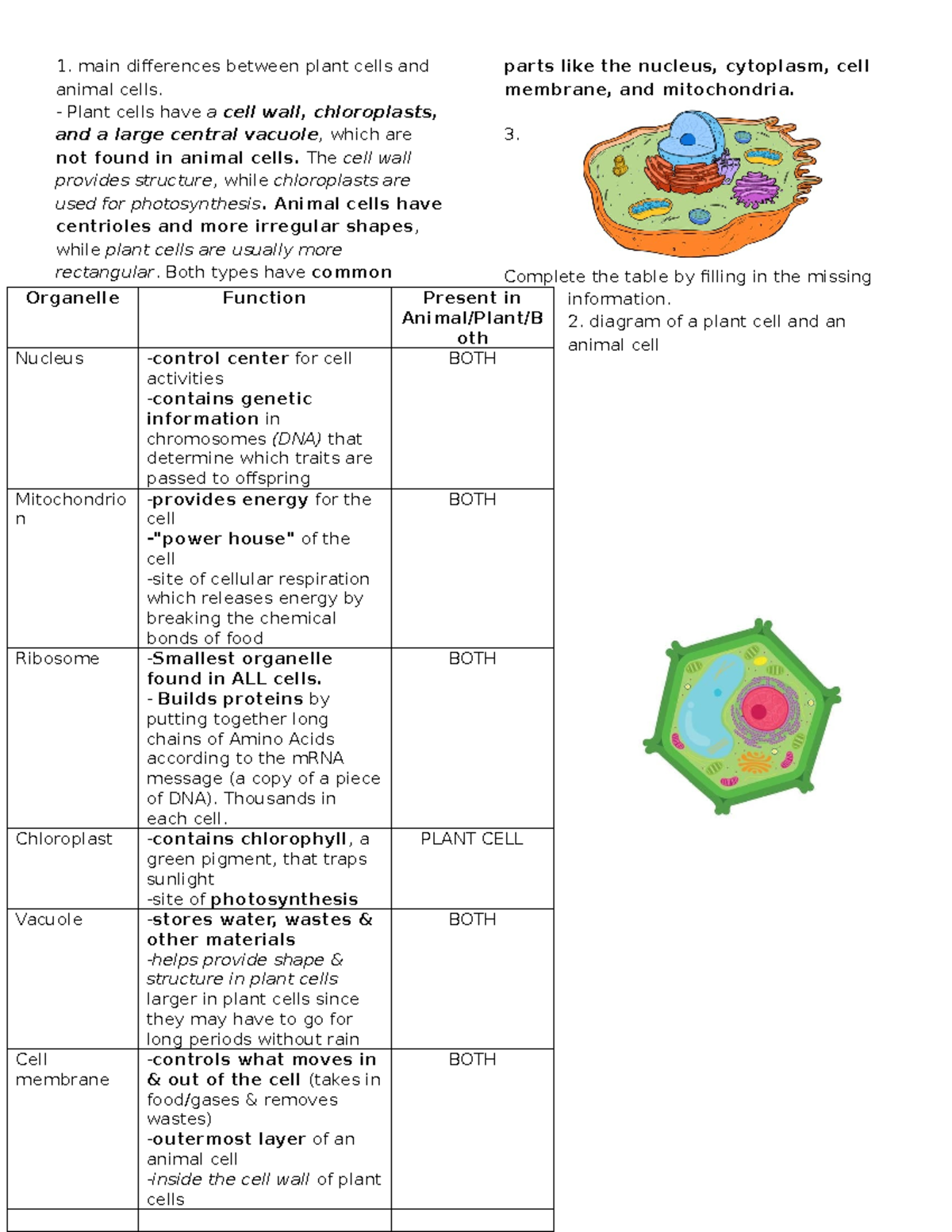 Main Differences Between Plant Cells and Animal Cells - Gen Bio ...