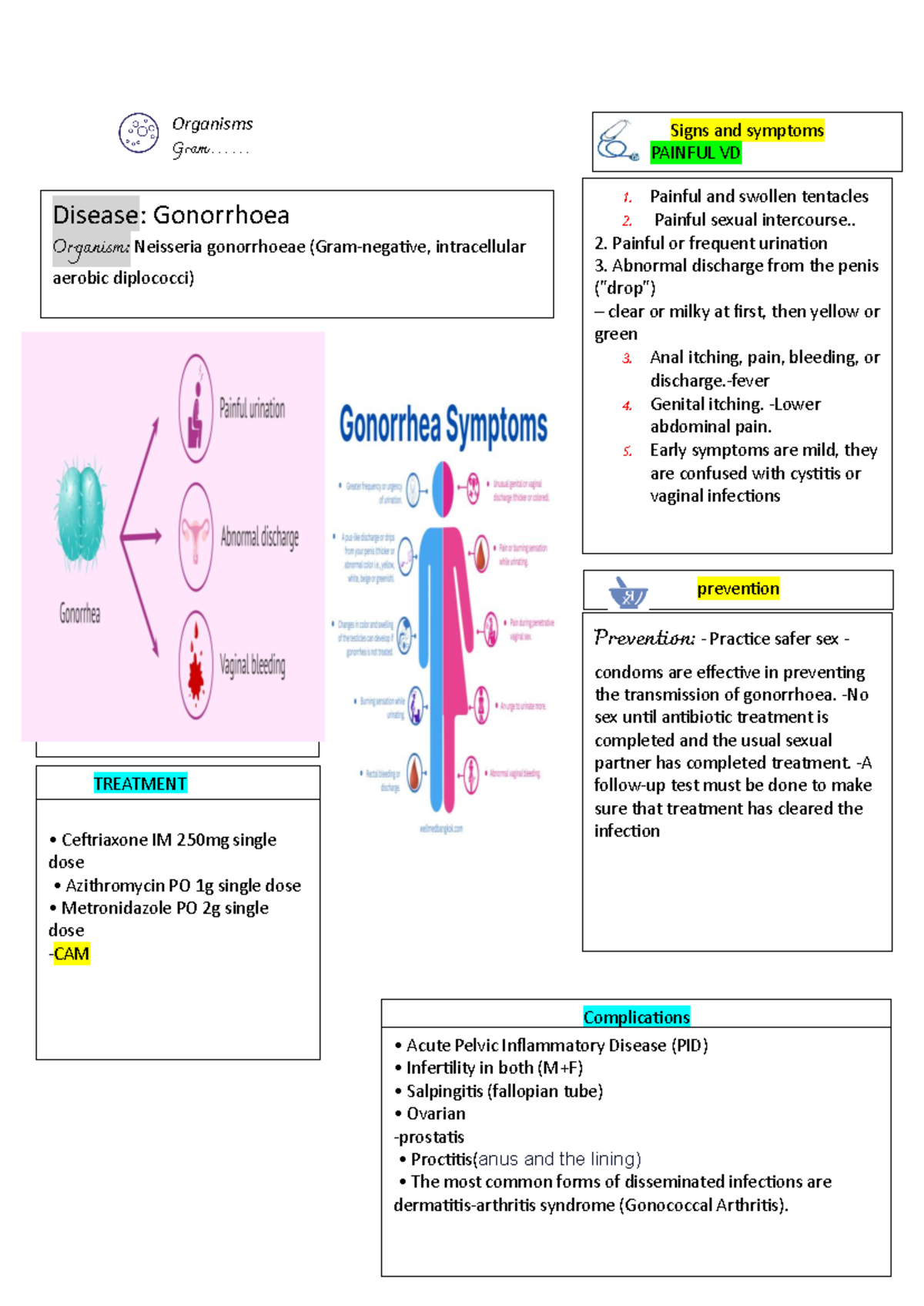 Gonorrhea Symptoms & Treatment - PAINFUL VD Gram Notes - Studocu