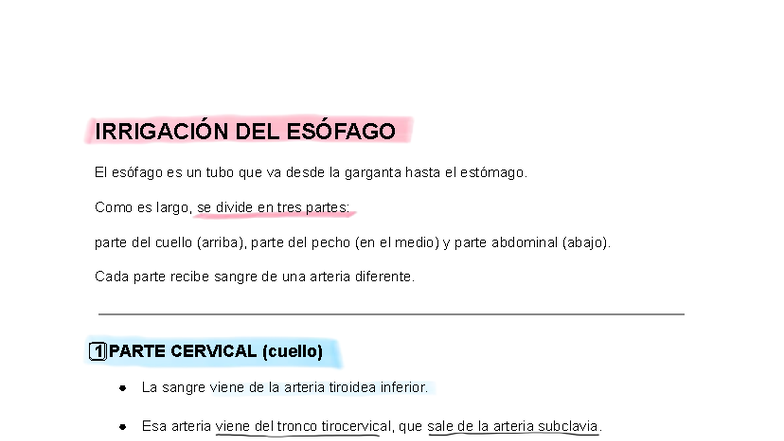 IRRIGACIÓN DEL ESÓFAGO: Anatomía y Vascularización - Studocu