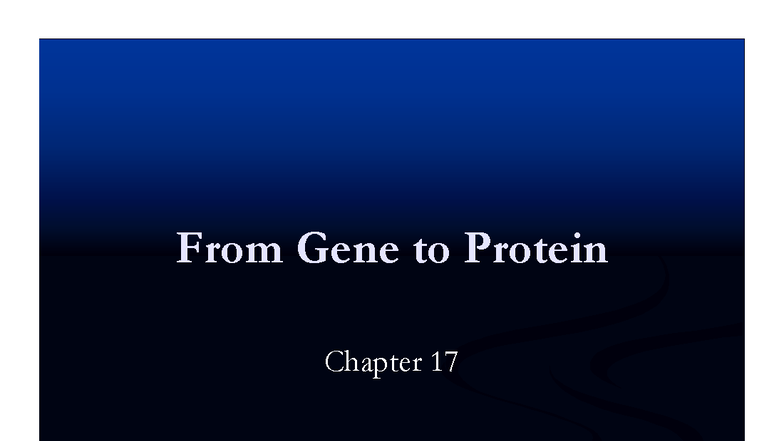 From Gene to Protein: Transcription & Translation Overview (BIO101 ...
