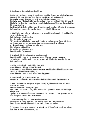 Luftvägar - Luftvägar Beskriv respirationssystemet. Uppbyggnad och ...