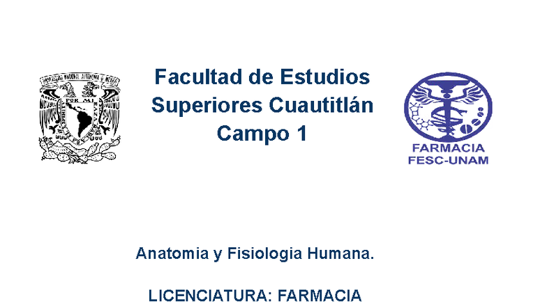 Reporte Práctica 3: Anatomía Comparada de Rata Wistar y Humano ...