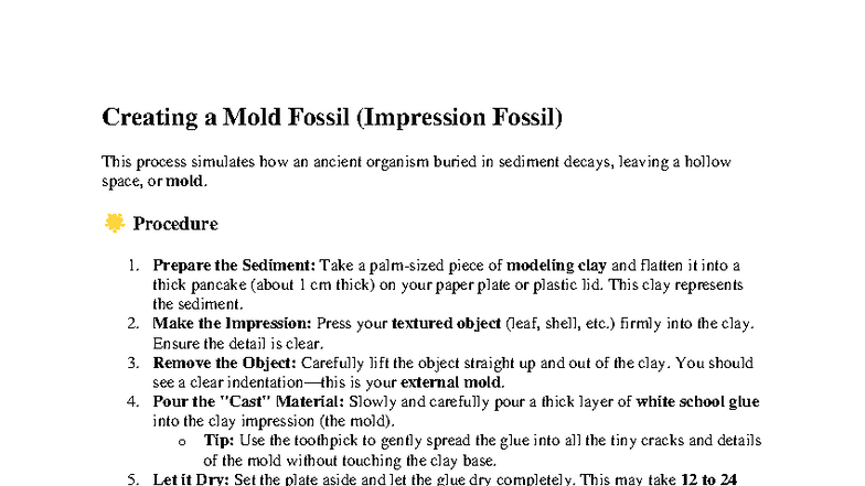 Creating a Mold Fossil: Step-by-Step Guide to Impression Fossils - Studocu