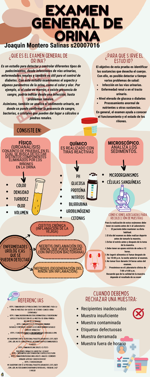 Anatomia y fisiologia renal - RINONES Son órganos retroperitoneales, es ...