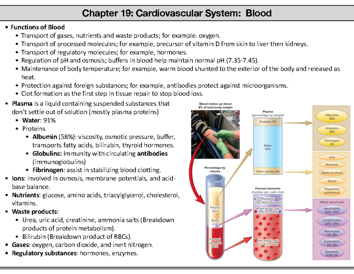 Chapter 19: Cardiovascular System - Blood Overview and Functions ...